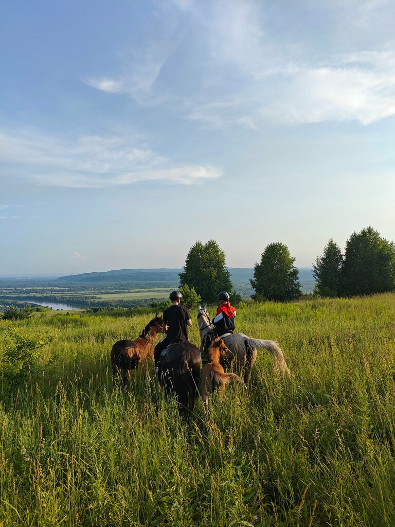 At ve binicilik kulüpleri Конные прогулки, Osinniki, foto