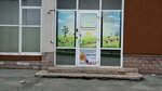 Солнечная полянка (Frolova Street No:31), anaokulları  Yekaterinburg'dan