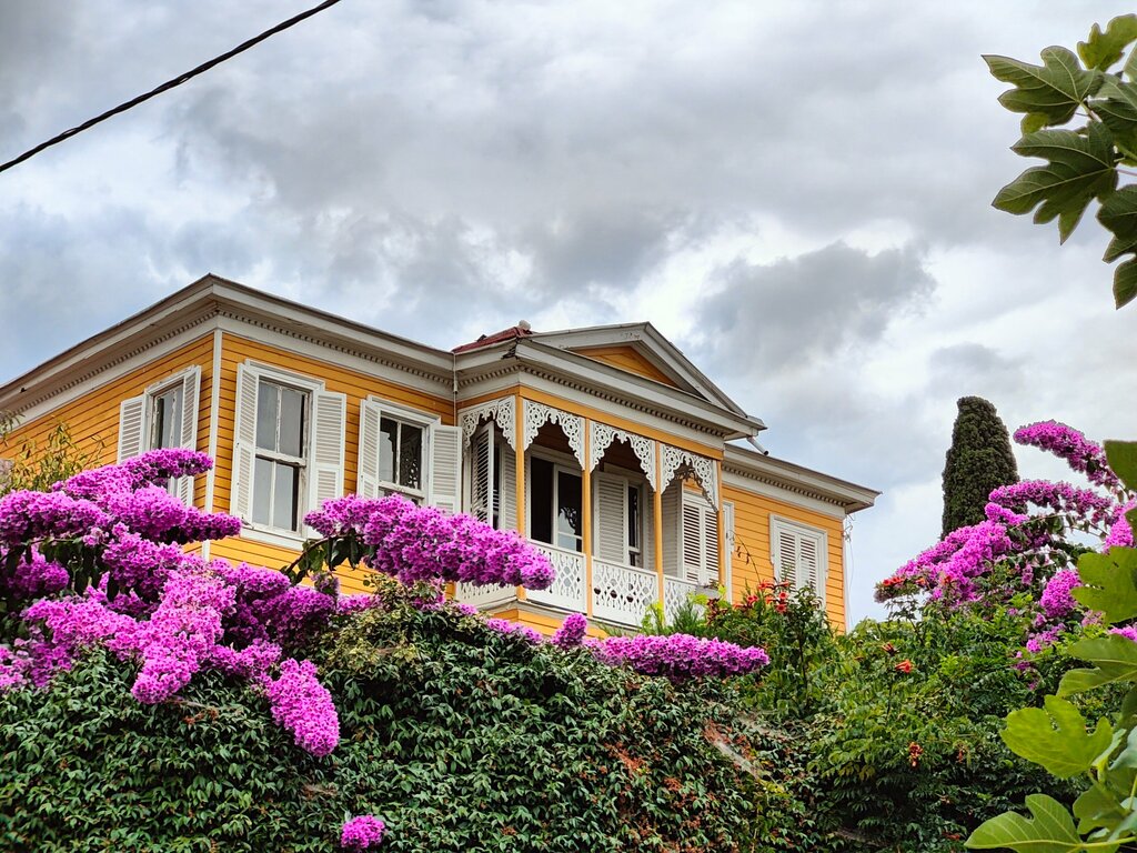 i̇skele, liman, gemicilik firmaları Heybeliada, Adalar, foto