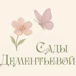 BrendDecor (Vasilyevskaya ulitsa No:11), çiçekçiler  Şuya'dan