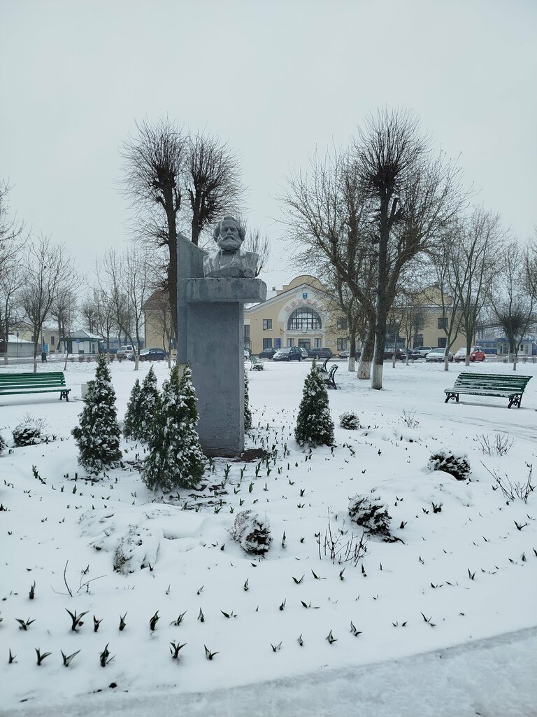 Anıt, heykel К. Маркс, Luninets, foto