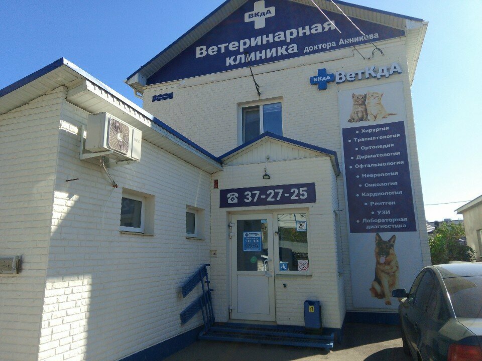 Evcil hayvan kuaförleri Груминг собак, Saratov, foto