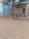 Mbo Makembo (Luanda Province, Municipality of Kilamba Kiaxi, Vinte e Oito de Agosto), torna işleri  Loanda'dan