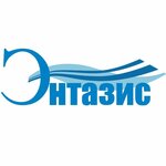 Энтазис-девелопмент (Austrina Street No:94А), gayrimenkul yönetimi  Penza'dan