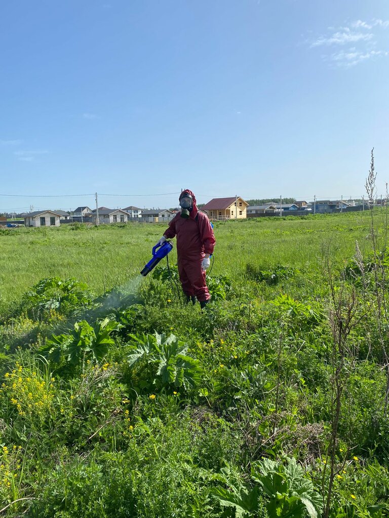Haşere ilaçlama firmaları Dez-Msk, Jukovski, foto