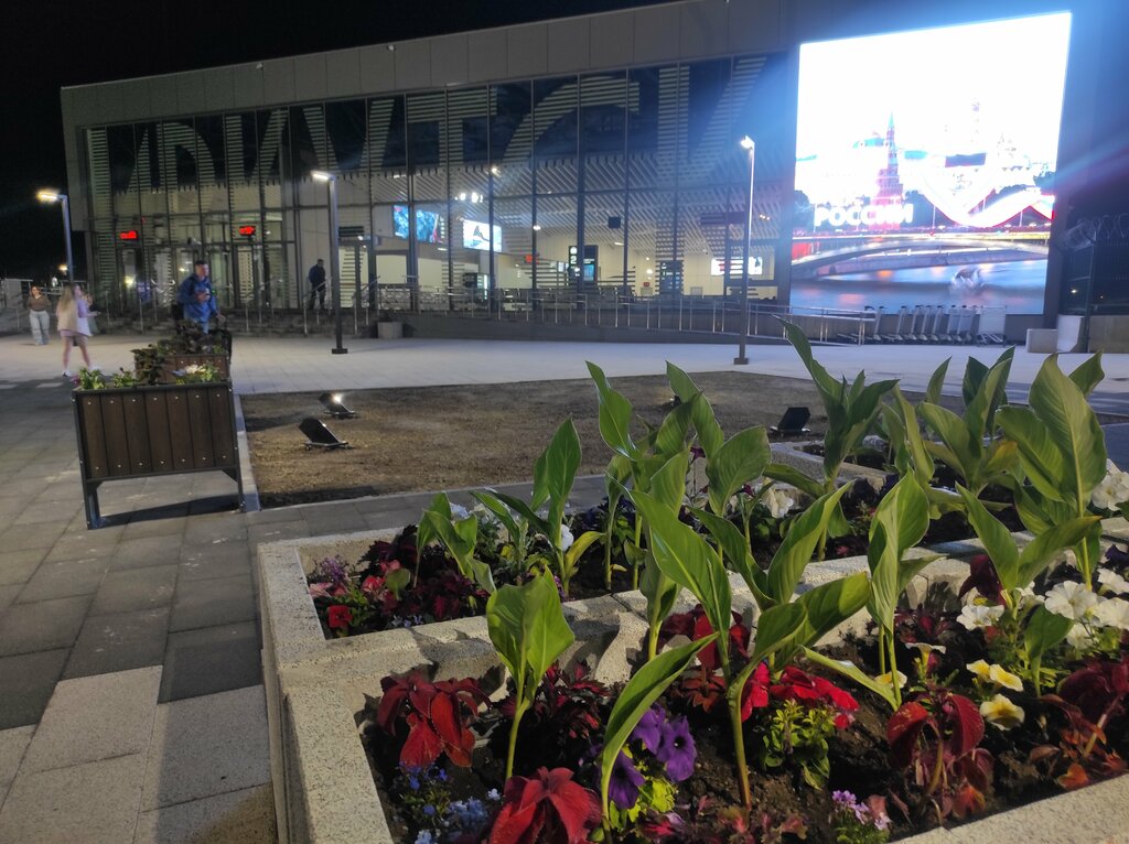 Havaalanı terminali Irkutsk Terminal 3, Irkutsk, foto
