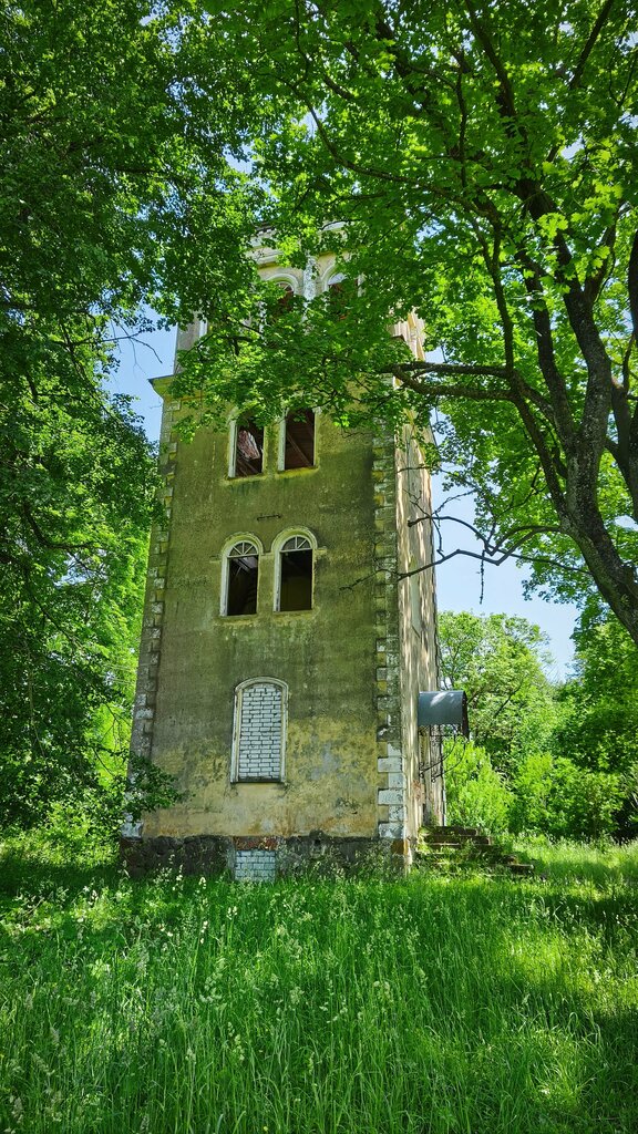 Turistik yerler Развалины замка, Grodnenskaya oblastı, foto