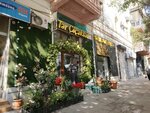 Tər Çiçəklər (Aga Nemеtulla Street No:23C), çiçekçiler  Bakü'den