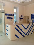 Глобус (Aleksandra Nevskogo Street No:23А), uçak biletleri  Yegoryevsk'ten