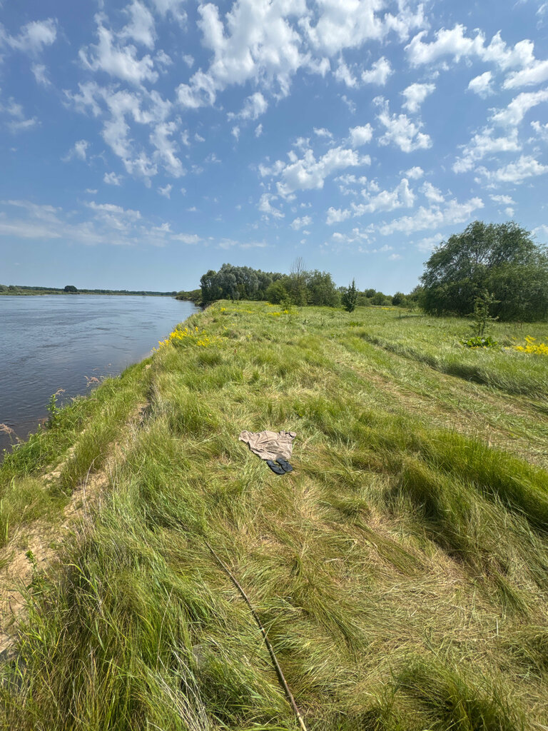 Piknik alanı Место для пикника, Gomelskaya oblastı, foto
