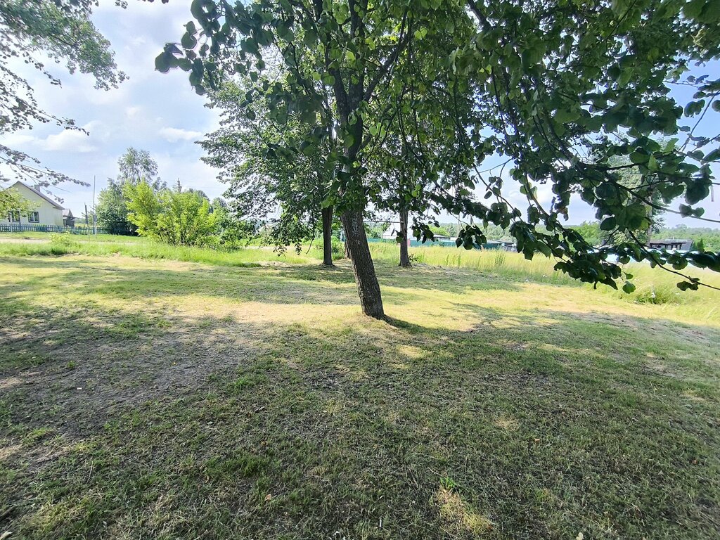 Anıt, heykel The Mass Grave, Mogiliovskaya oblastı, foto