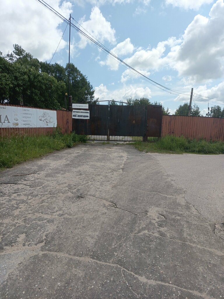 Kültür ve eğlence parkları Европарк Ярославль, Yaroslavl, foto