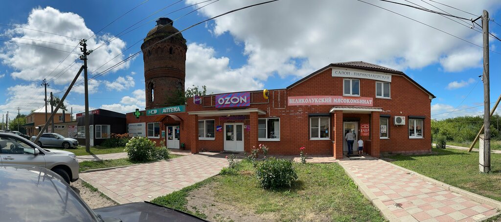 Teslimat noktası Ozon, Riazanskaya oblastı, foto