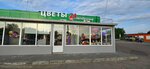 Цветы для Вас (May 1 Avenue No:1А, Vostryakovo Subdistrict), çiçekçiler  Domodedovo'dan