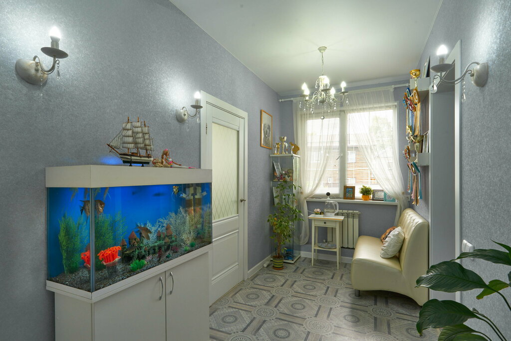 Evcil hayvan kuaförleri Grooming Zoohotel & SPA, Kazan, foto