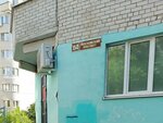 Free man (Moskovskiy Avenue No:114), spor kulüpleri  Voronej'den