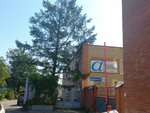 Agentstvo ekspluatacii nedvizhimosti, raschetnyj centr (Petra Velikogo Street No:9А), konut servisleri kuruluşları  Sosnoviy Bor'dan