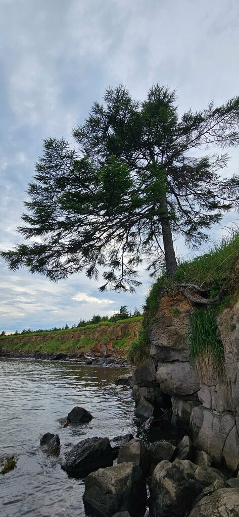Seyir terası Observation deck, Habarovski krayı, foto