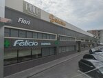 Flori (strada Maria Drăgan No:11/A), çiçekçiler  Kişinev'den