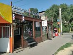 Lion (Jambyl Street No:133, Almaly City Administrative District), berberler  Almatı'dan