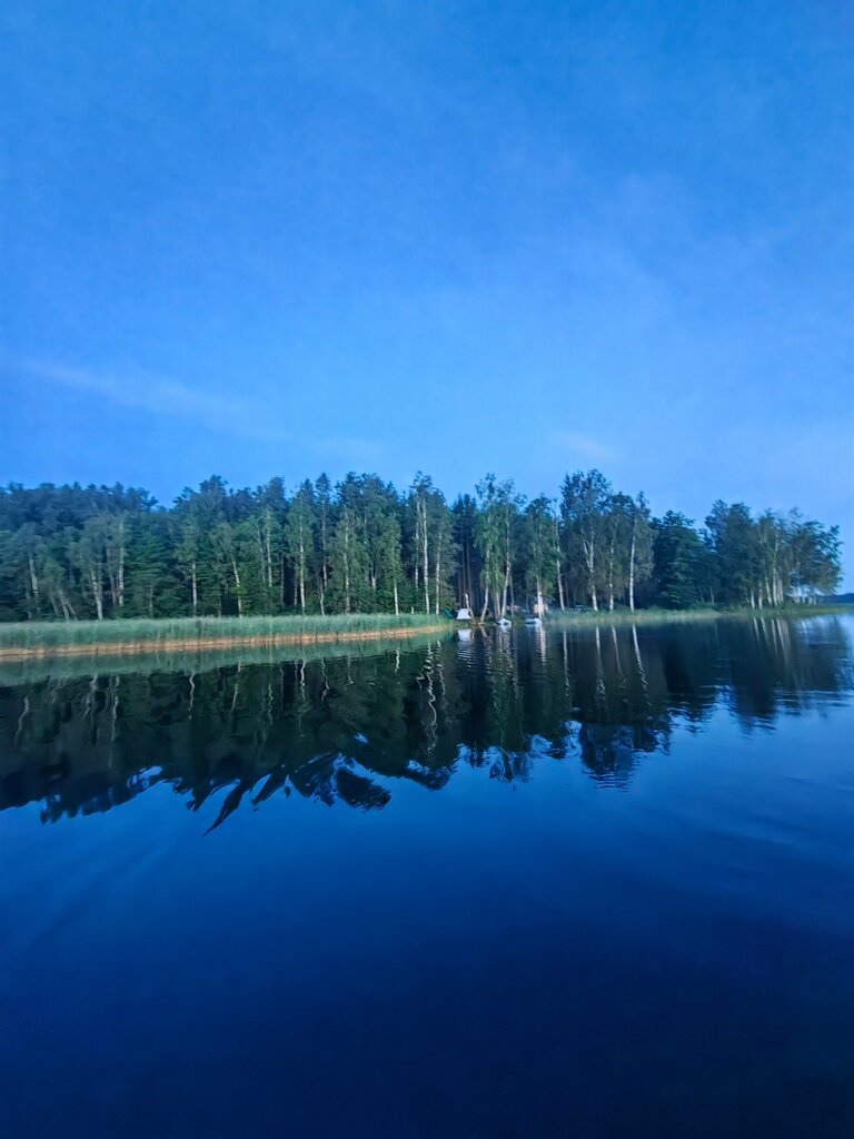 Kamp alanları Туристическая стоянка Пантелеевский рог, Vitebskaya oblastı, foto