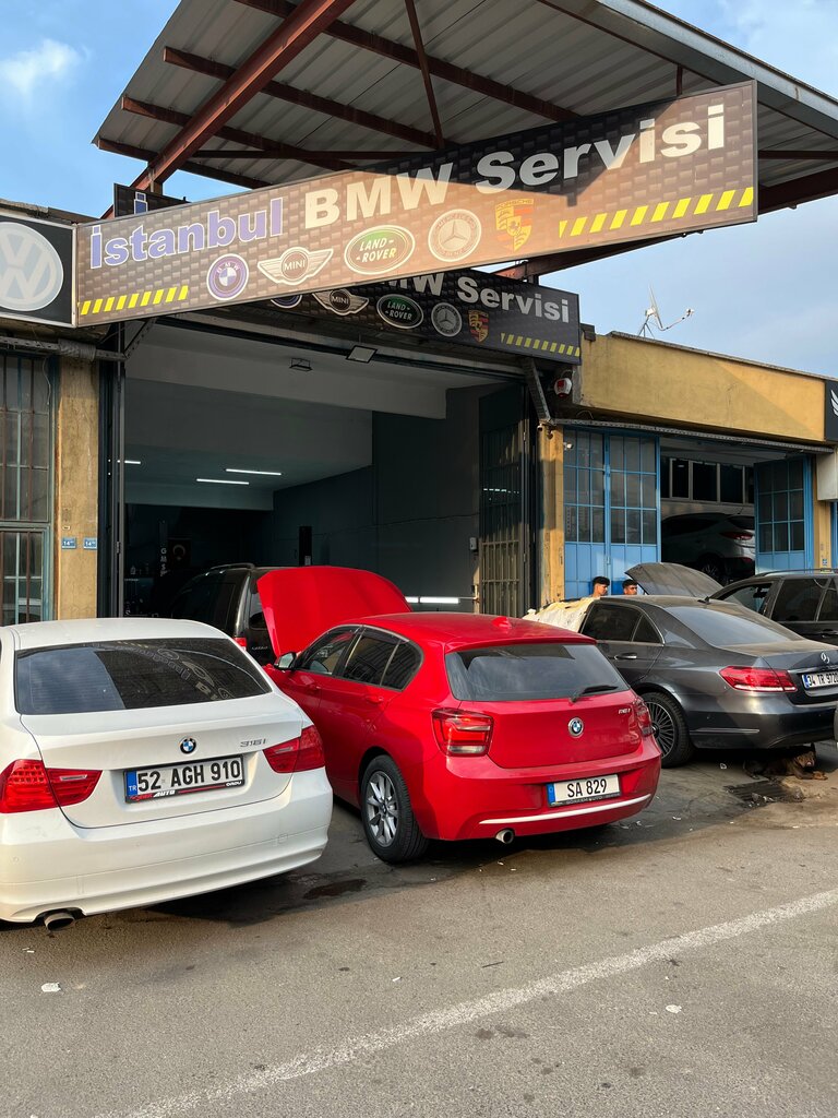 Otomobil servisi İstanbu BMW servisi, Altınordu, foto