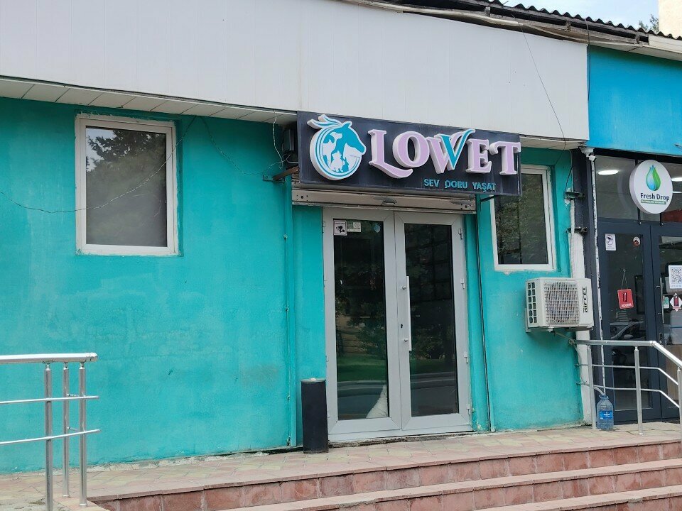 Petshop Lowet, Bakü, foto