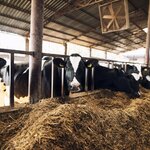Gelecek Agro (Şanlıurfa, Siverek, Haliliye Mah., Haliliye 20. Sok., 21), tarım firmaları  Siverek'ten