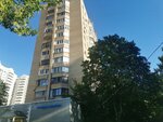 Soceal studio (Kastanayevskaya Street No:57к3), web tasarım hizmetleri  Moskova'dan