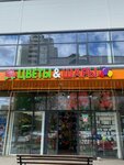 Floworks_24 (Aviakonstruktora Milya Street No:22), çiçekçiler  Moskova'dan