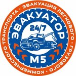 Эвакуация М-5 (Lva Tolstogo Street No:9Гс3), çekici hizmeti  Bronnitsy'den