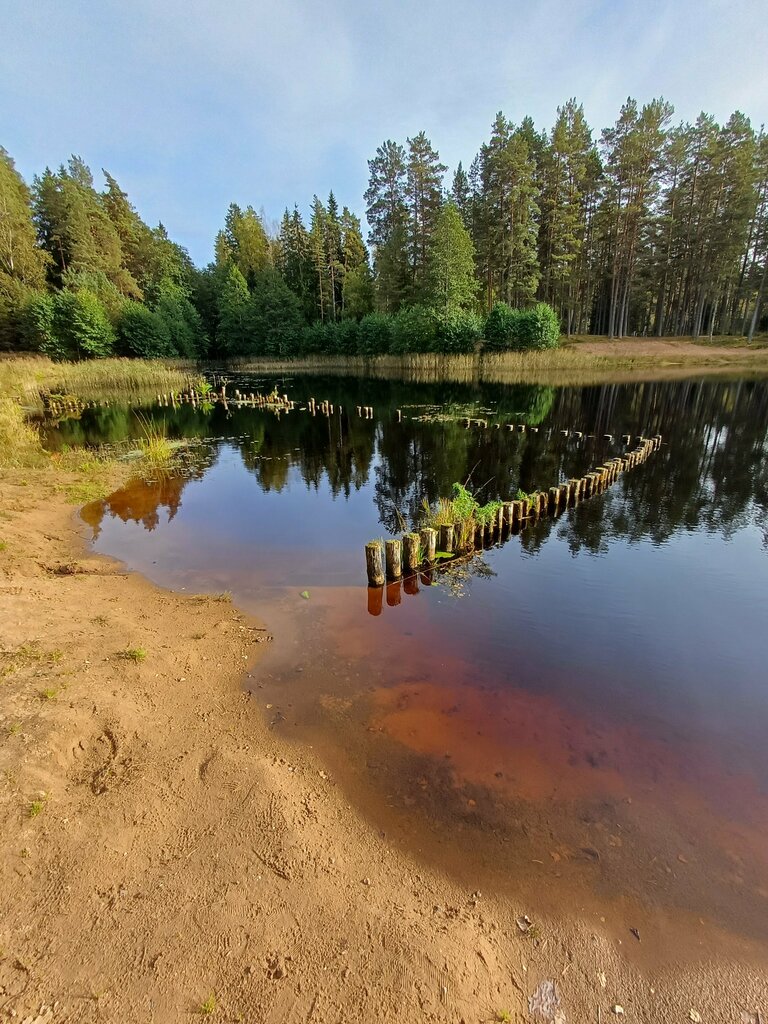 Plaj Пляж, Pskovskaya oblastı, foto