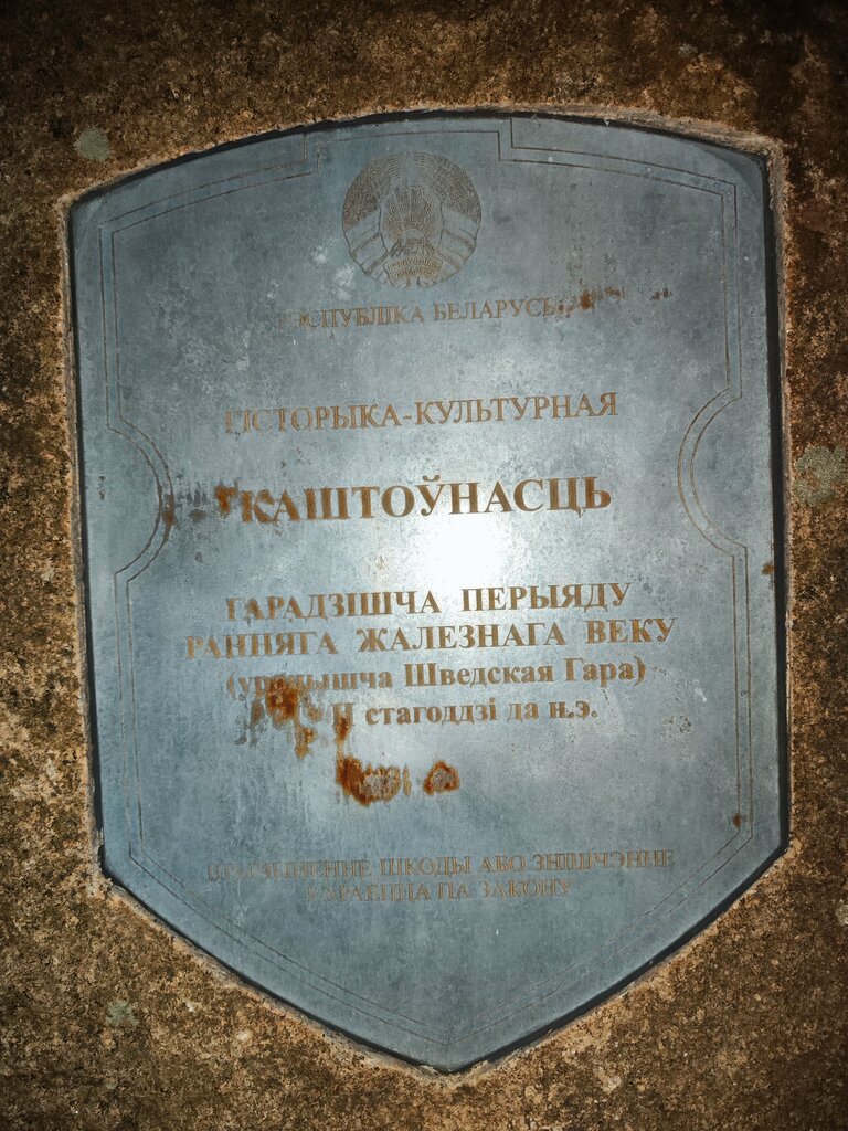 Anıt levhası, anıt taş Поселение периода Железного века, Gomel, foto