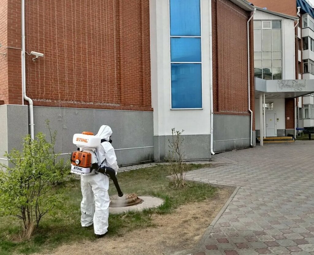 Haşere ilaçlama firmaları Ses of Solikamsk, Solikamsk, foto