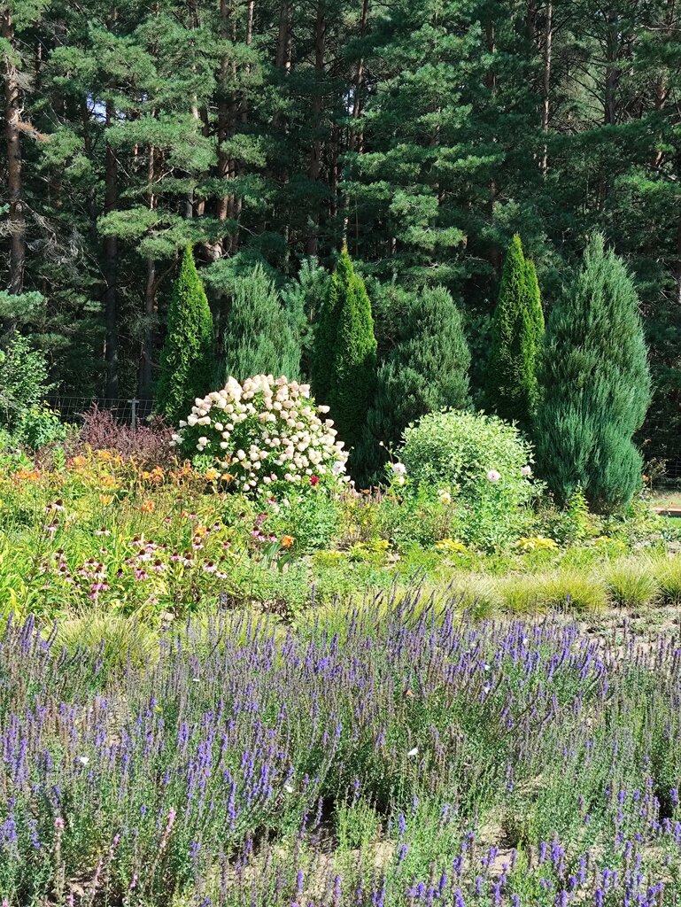 Eczaneler Аптекарский Сад, Minskaya oblastı, foto