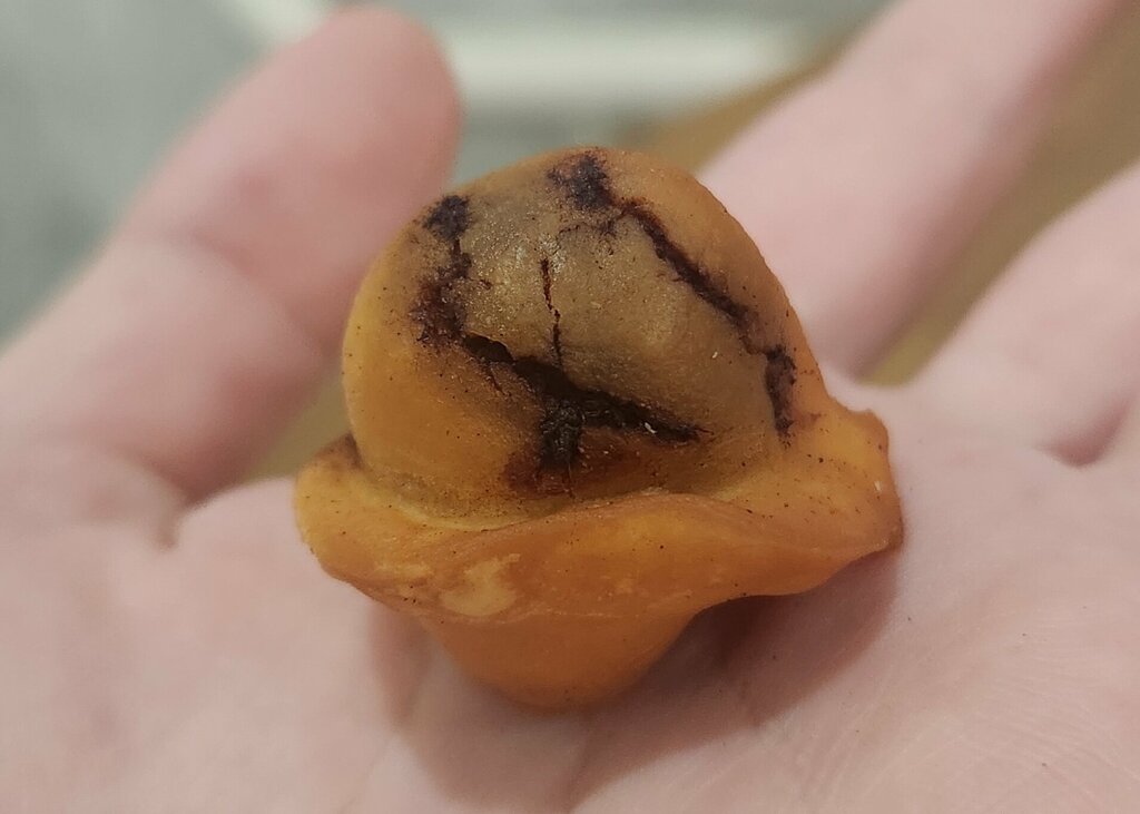 Kafe Хет трик, Salavat, foto