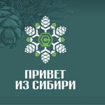 Привет из Сибири (ulitsa Tereshkovoy No:22А), kuruyemiş, atıştırmalık, kuru meyve  Kemerovo'dan