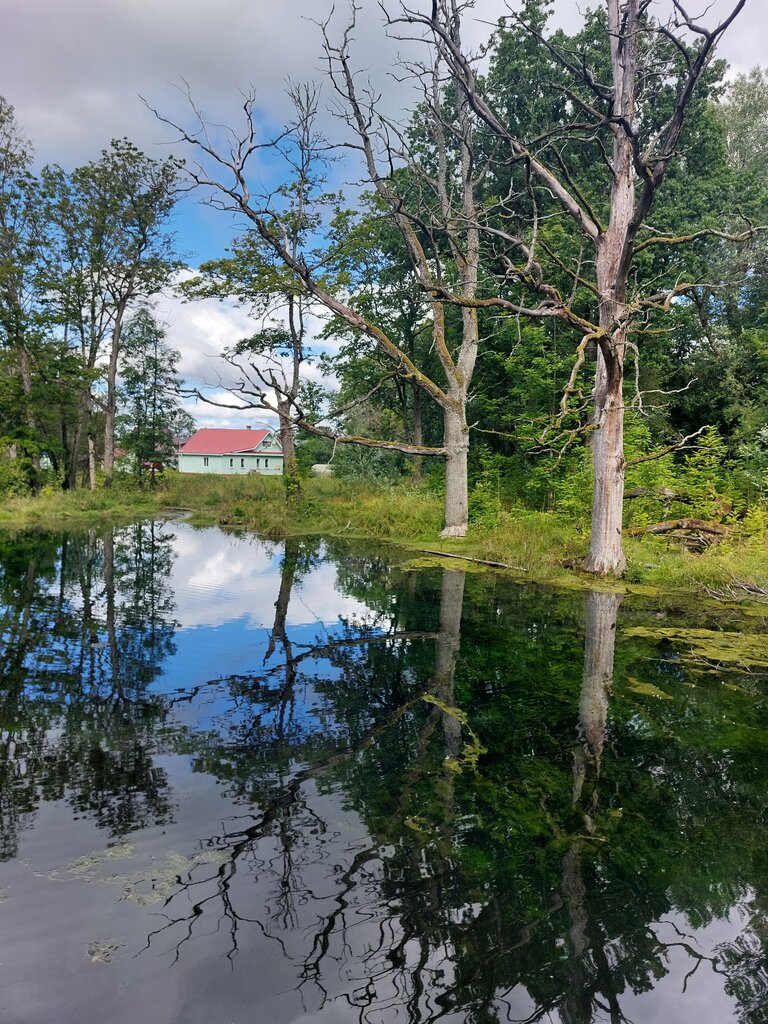 Turistik yerler Карстовая воронка, Saint‑Petersburg ve Leningradskaya oblastı, foto