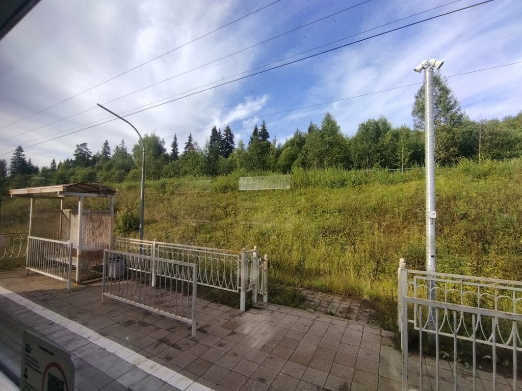 Tren istasyonu 200 км, Novgorodskaya oblastı, foto