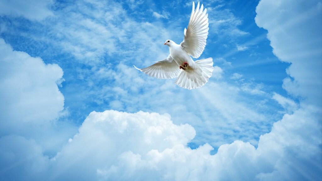 Cenaze hizmetleri Дом Памяти, Nelidovo, foto