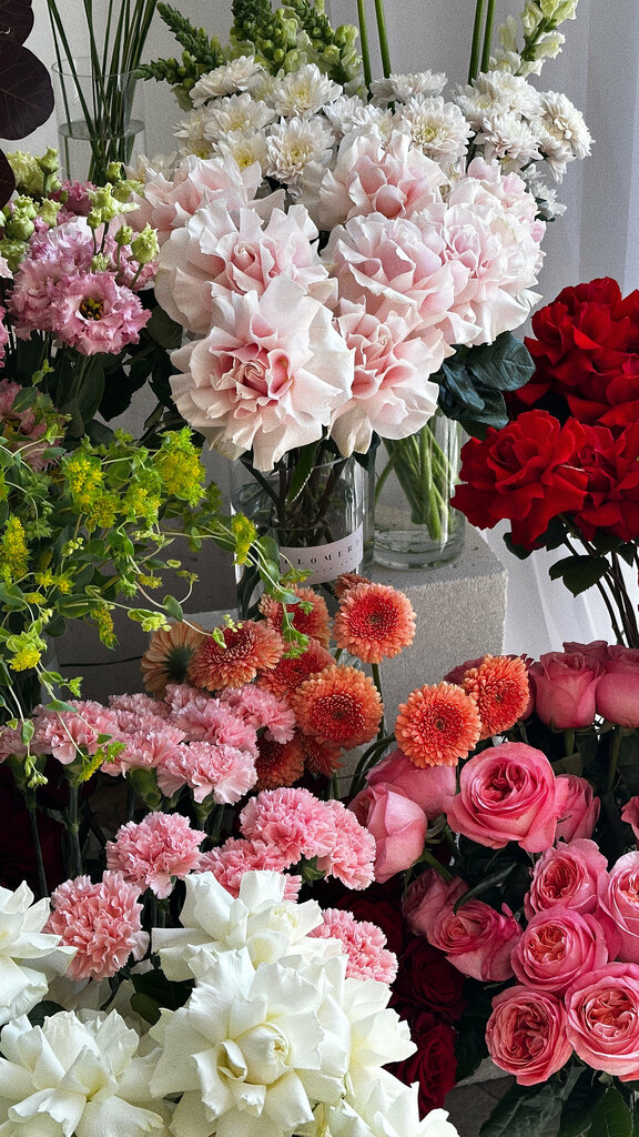 Çiçekçiler Flomerdi, Kaliningrad, foto