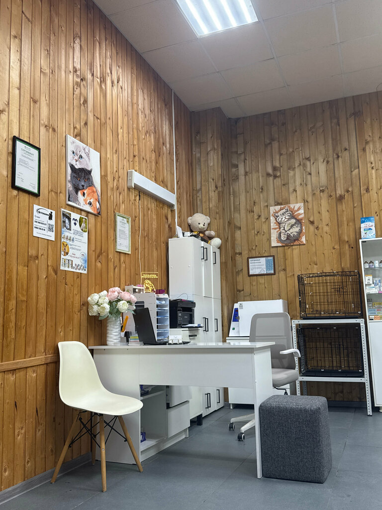 Veteriner klinikleri Доктор Боташева, Cherkessk, foto