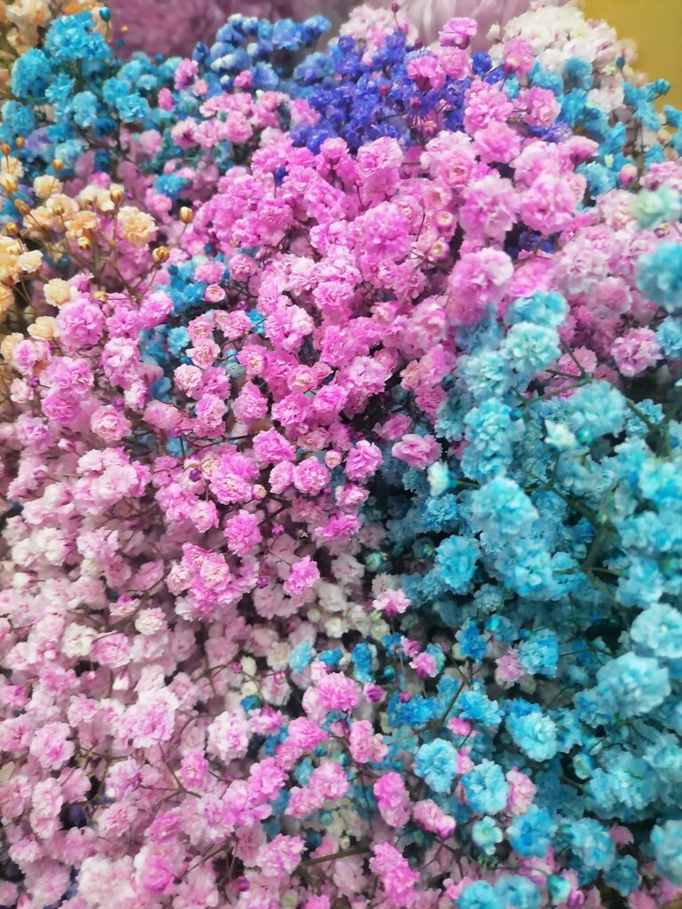 Çiçekçiler Цветочня лавка Фея, Novoçerkassk, foto