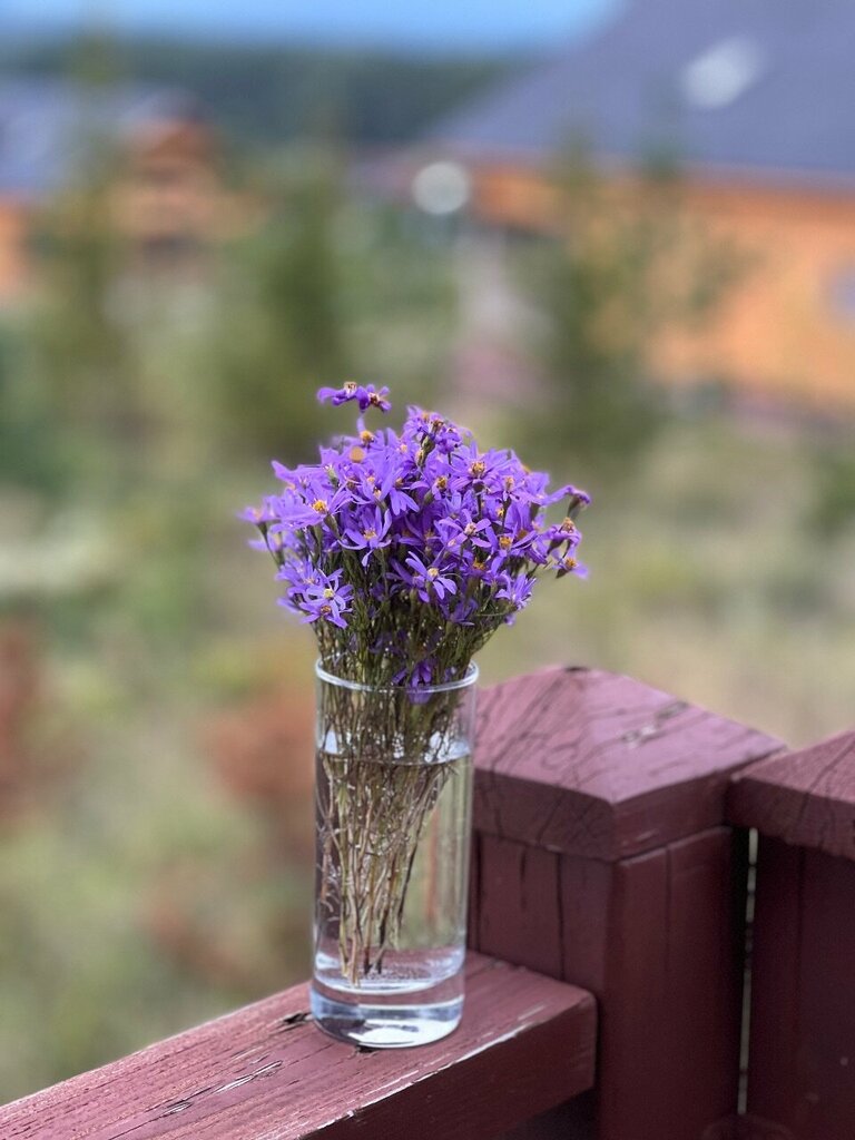 Otel Sary Bulak, Akmola eyaleti, foto