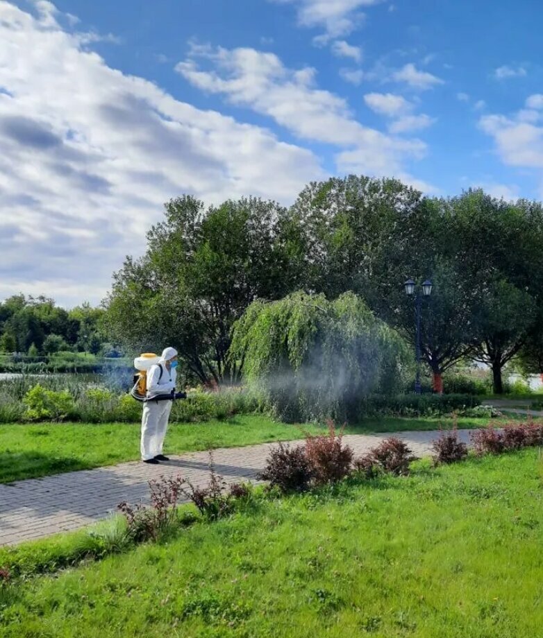 Haşere ilaçlama firmaları Ses, Kopeysk, foto