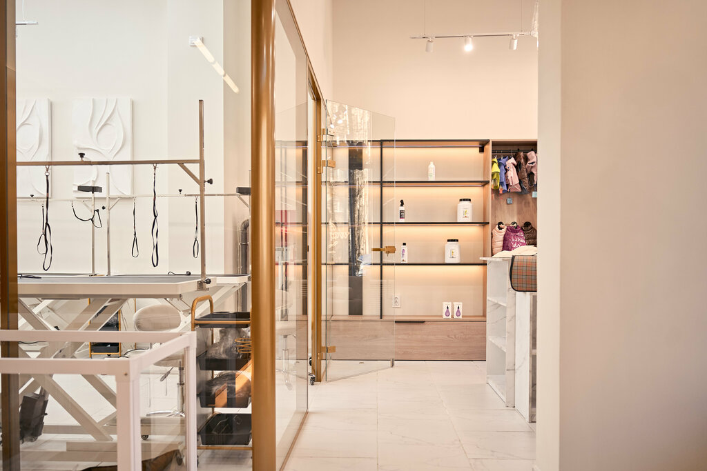 Evcil hayvan kuaförleri Paw Wow, Saint‑Petersburg, foto