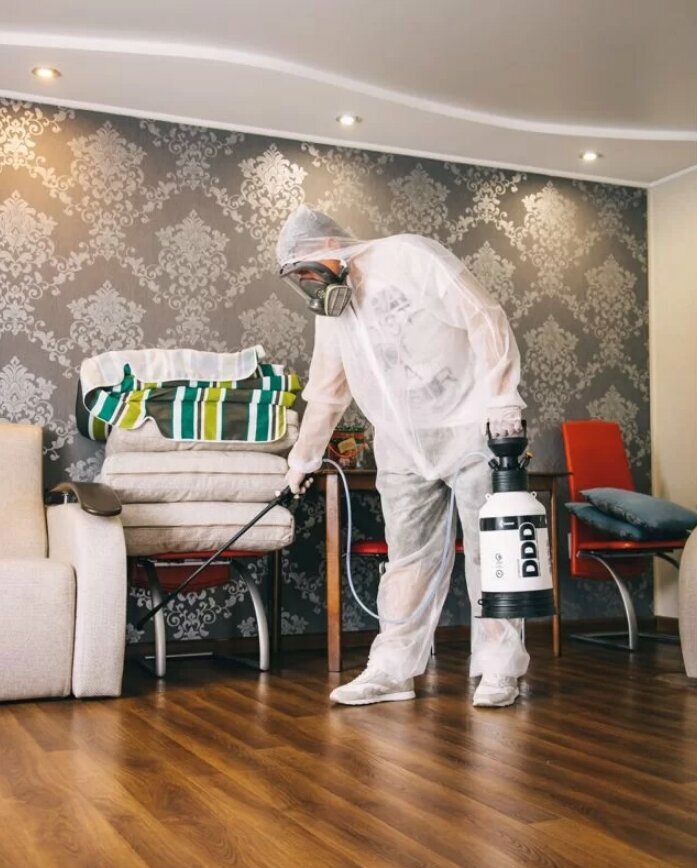 Haşere ilaçlama firmaları AbariiDez, Çeliabinsk, foto