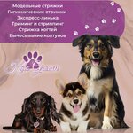 Kate Groom (ulitsa Alksnisa No:30, rabochiy posyolok Monino), evcil hayvan kuaförleri  Moskova ve Moskovskaya oblastından