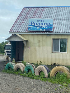 Родник (Amur Region, Arkharinskiy munitsipalny okrug), kafe