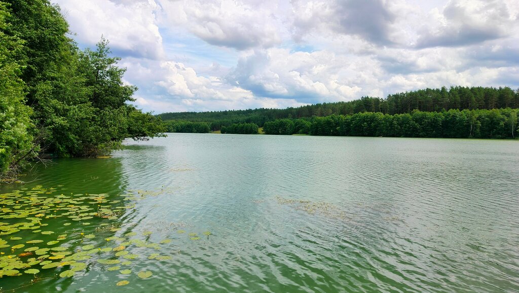 Plaj Beach, Ulyanovskaya oblastı, foto